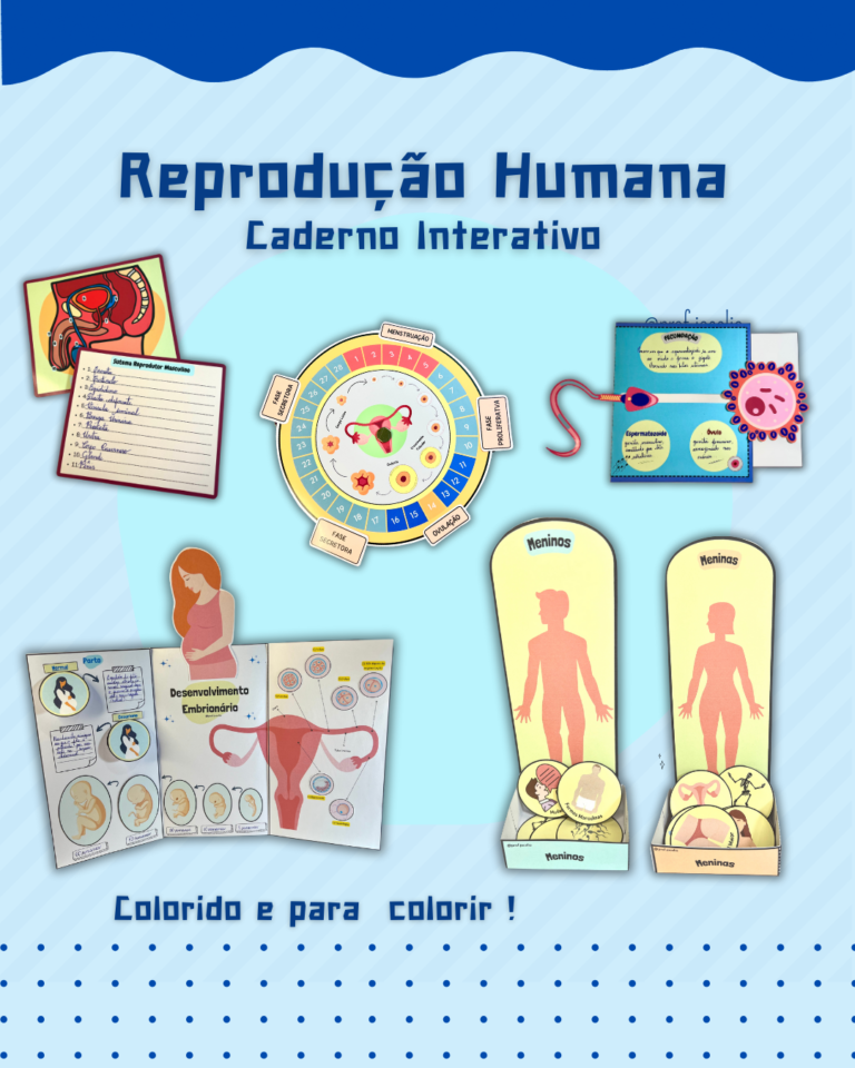 Reprodução Humana – Caderno Interativo – Sua Loja de Atividades ...