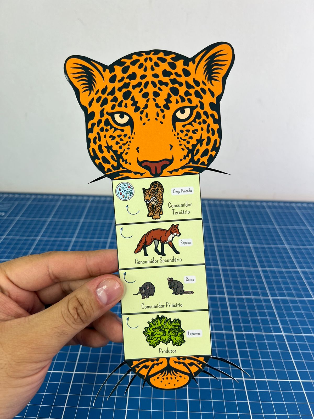 Caça Caça Animal – Sua Loja de Atividades Pedagógicas – Prof. Jocélio