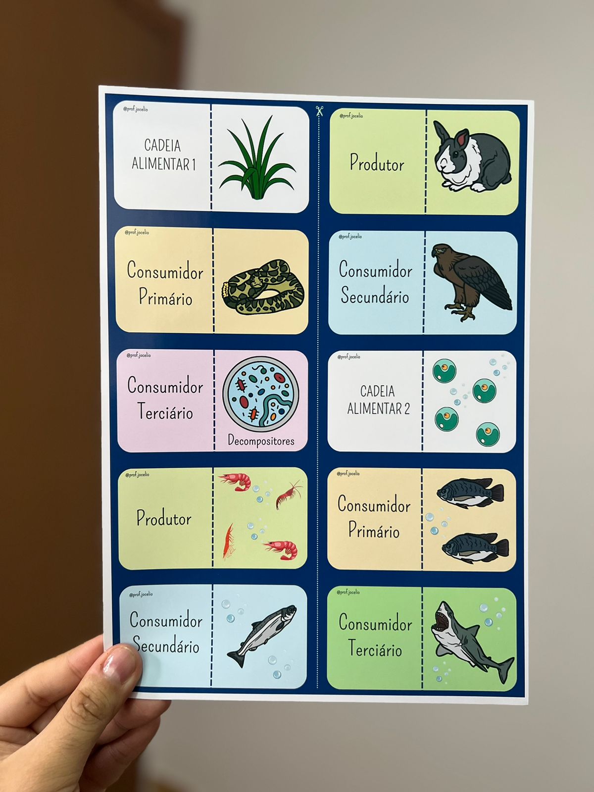 Caça Caça Animal – Sua Loja de Atividades Pedagógicas – Prof. Jocélio